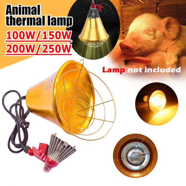 Poultry Chick Brooder Heating Bulb Lampshade Piglet Infrared Heat Light ...