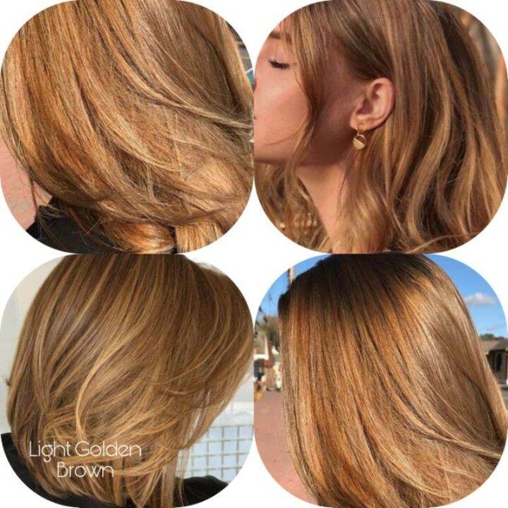 Light Golden Brown Hair Color Hair Dye With Oxidizer No Need To Bleach ...