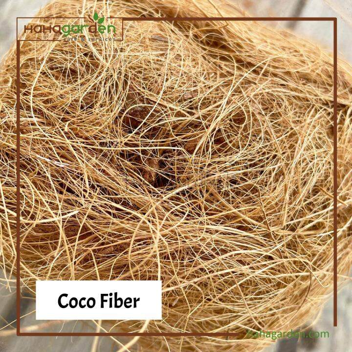 Coco Fiber/ Coconut Fiber/ Serat Sabut Kelapa (Packed in Plastic ...