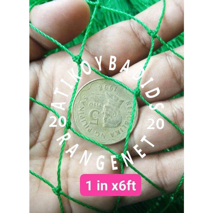 100 meters - 1 inch x 6ft -Range Net/Chicken Net / Poultry Net / Fish ...