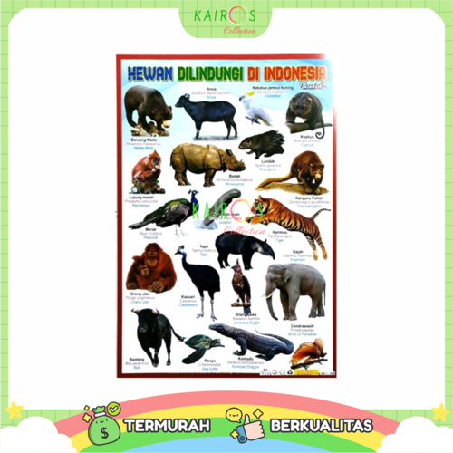 Poster Anak Belajar Hewan Dilindungi Di Indonesia | Lazada Indonesia