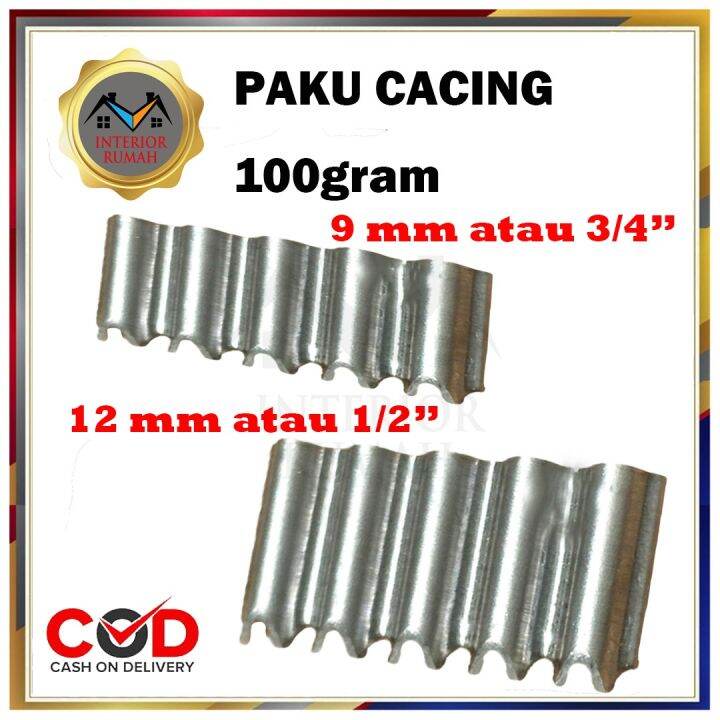 PAKU CACING / Paku Penyambung Triplek Kayu Nail (ISI 100 GRAM) | Lazada ...