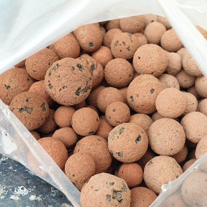 Hydroton Hidroton 1lt media tanam hidroponik, anggrek, Aglonema dan ...