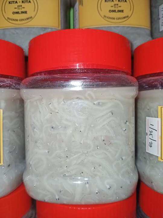 Tugnos Ginamos (Ginamos Bisaya) | Lazada PH