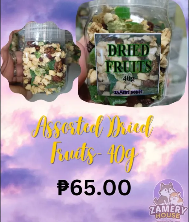 Assorted Dried Fruits 40g in Canister for hamsters, rabbits, guinea ...