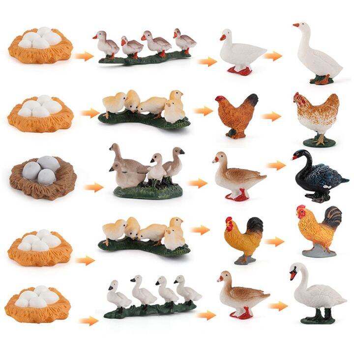 OozDec Rooster Duck Hen Simulation Small Animal Model Toy Growth Life ...