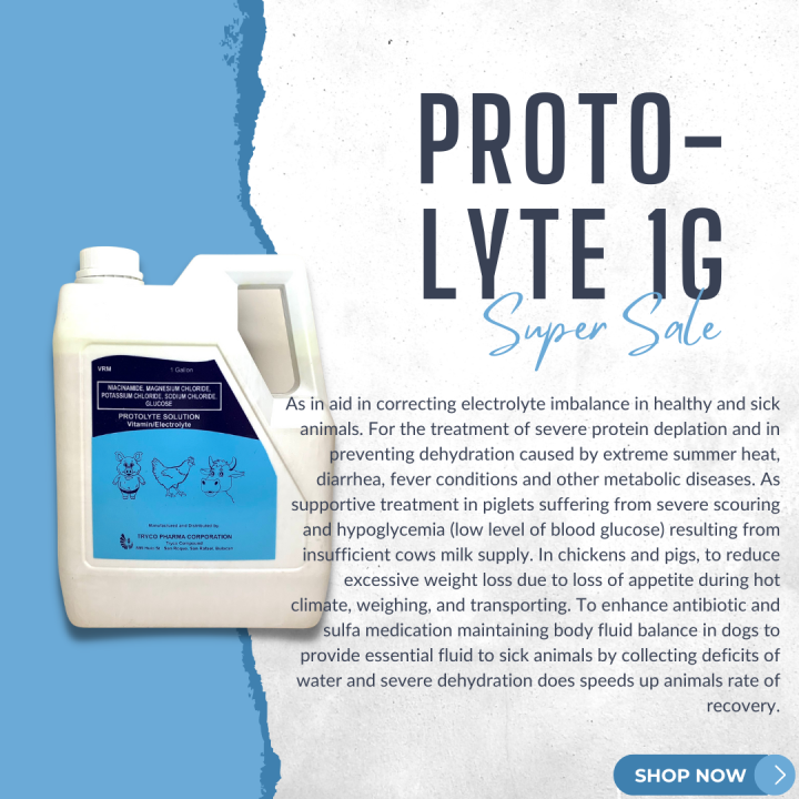 [AGRIVET] 1pc PROTO-LYTE Syrup ELECTROLYTE 1 Gallon / Vitamin Mineral ...