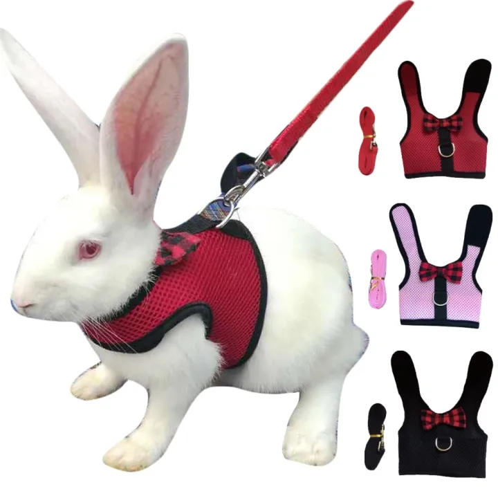 Outdoor Rabbit Chest Strap Breathable Vest Harness Walking Leash ...