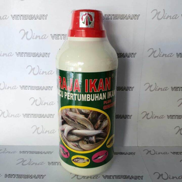 RAJA IKAN 500 ml - Pemacu Pertumbuhan Ikan | Lazada Indonesia