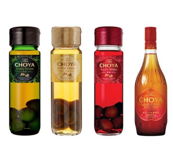 [Gift Box] Choya Extra Years Dento Royal Honey Aged 3 Years Golden Ume ...
