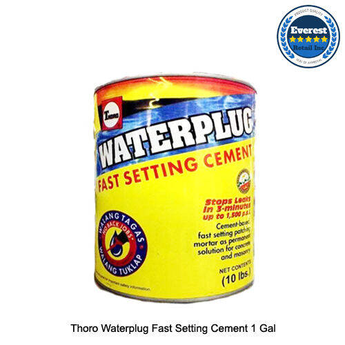 Thoro Waterplug Fast Setting Cement 1 Gal | Lazada PH
