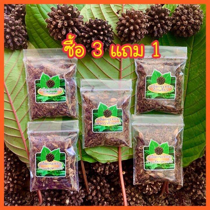 ☚เมล็ดพันธุ์กระท่อมภาคใต้ ก้านแดง แตงกวา ก้านเขียวหางกั้ง จากต้นแม่อายุ