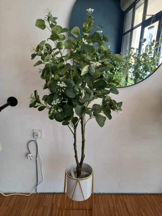 Artificial Eucalyptus Bunga Money Tree Plant Pokok Hiasan 125cm | Lazada