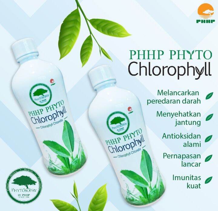 Phyto Chlorophyll Minuman Chorella Klorofil Multivitamin Anti Oksidan ...