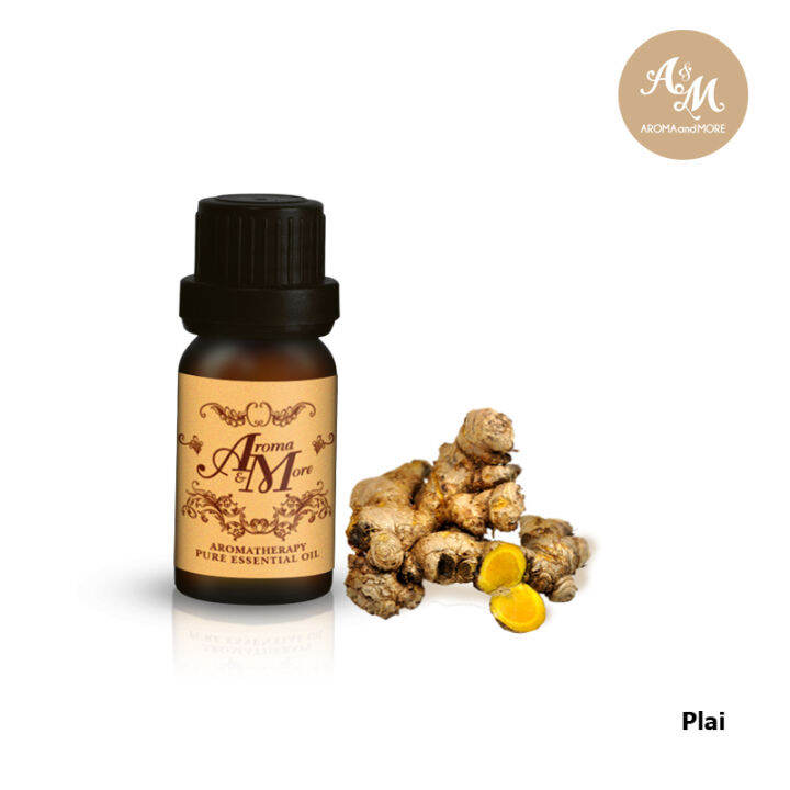 Aroma & More Plai Essential Oil / น้ำมันหอมระเหย ไพล 100%, ประเทศไทย 10 ...