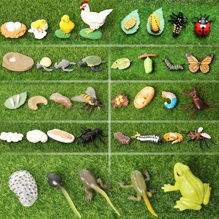 Simulation Animals Life Cycle Animal Figurines,Frog Ant Mosquito Sea ...