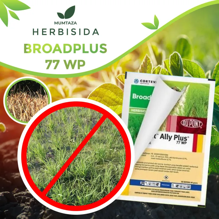 Dupont Ally Plus herbisida (Broad Plus) 40gr | Lazada Indonesia