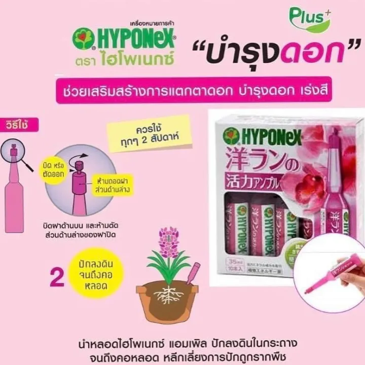 พร้อมส่ง hyponex แอมเพิล ปุ๋ยปักสีชมพู ปุ๋ยน้ำนำเข้า 1 กล่อง 10 หลอด 35 ml. | Lazada.co.th
