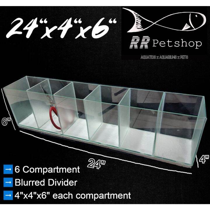 【COD】 BETTA TANK l AQUARIUM DIVIDER 24x4x6 | Lazada PH