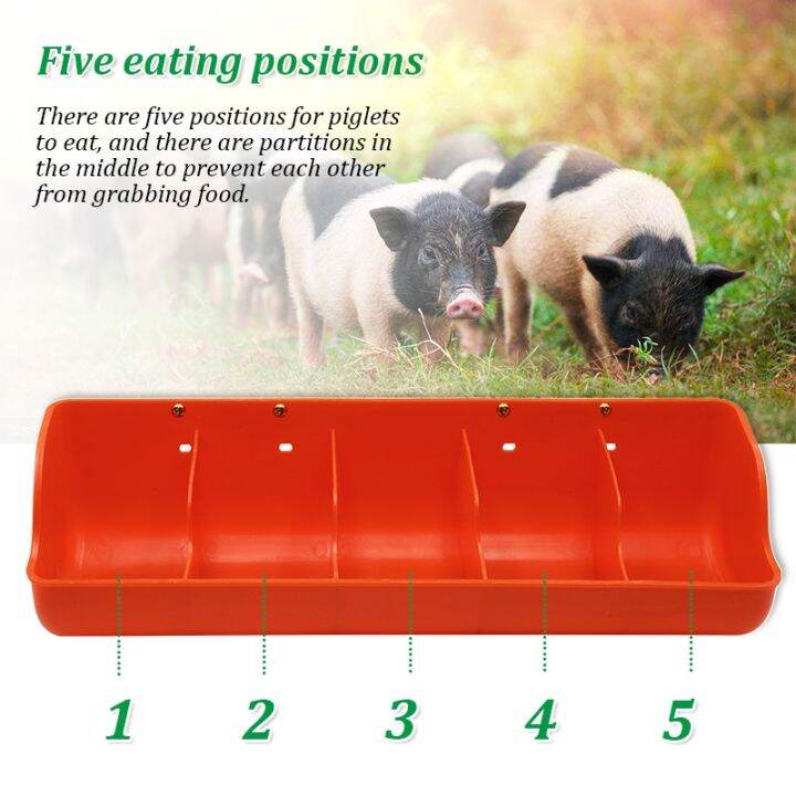 Viddavet t Orange Plastic Piglet Trough Automatic Feeding Five Grids ...