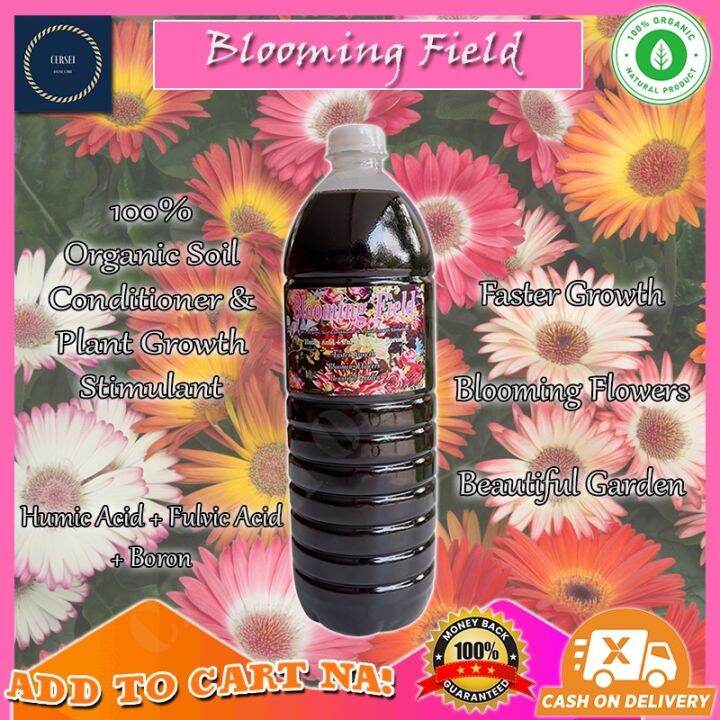 x1L Blooming field Soil Conditioner and Plant Growth Stimulant(FPA Reg ...
