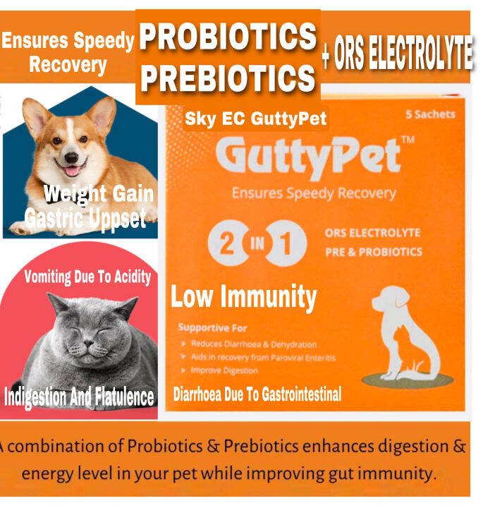 Sky Ec GuttyPet Pre And Probiotic Plus Ors Electrolyte 5 Sachet Pack ...