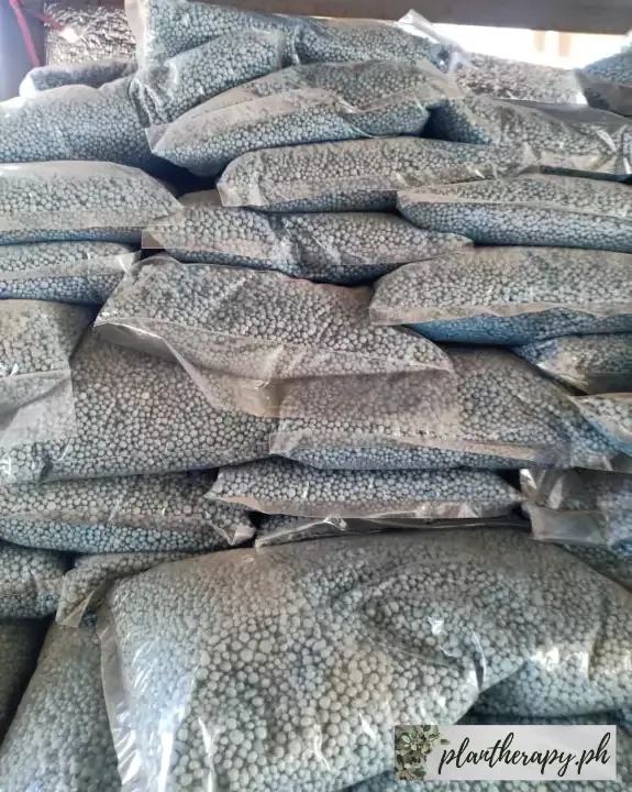 1 KG Multicote (14-14-14 Complete Fertilizer) Best for Plants, Cactus ...