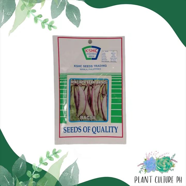 KSHC Keystone Seeds Hyacinth Bean (Batao) approx 12 seeds by Plant ...