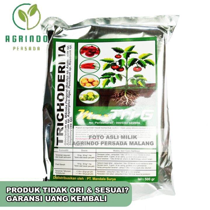 Pupuk Tricoderma MaxTri-G 500 gram | Maxtrig untuk mengatasi busuk akar dan buah, Fungisida ...