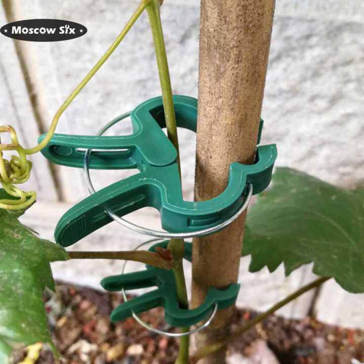 Grafting Stakes Connector Clip Reusable Flowers Stem Vines Grape Clamp ...