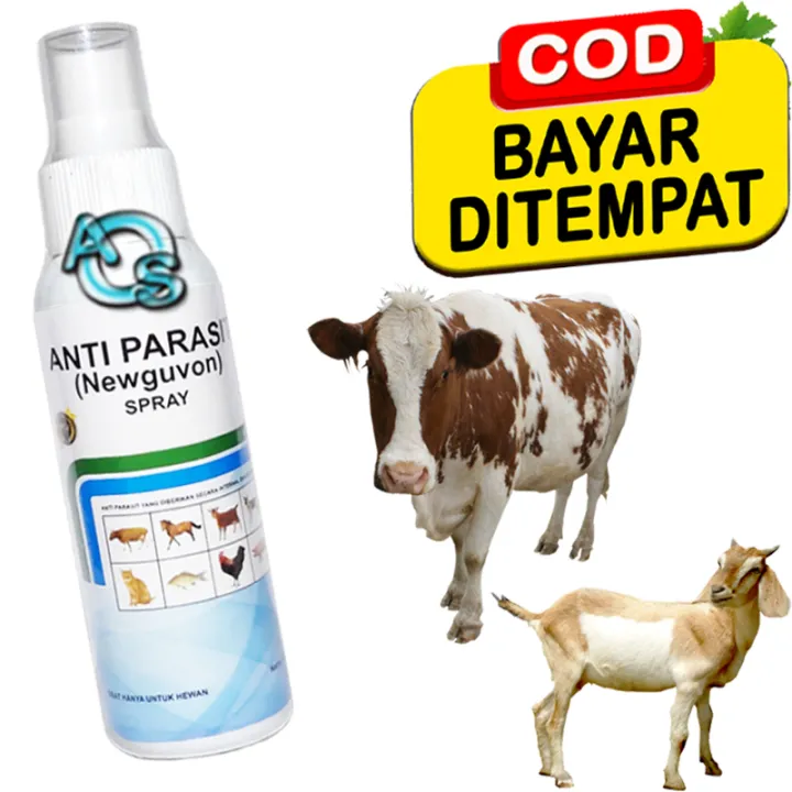 Obat Kutu Sapi Kerbau Anti Tungau Basmi Parasit Newguvon Spray Fast And ...