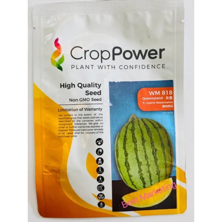 CROP POWER - WM818 Benih Tembikai Kuning/黄肉西瓜种子 - 20G | Lazada