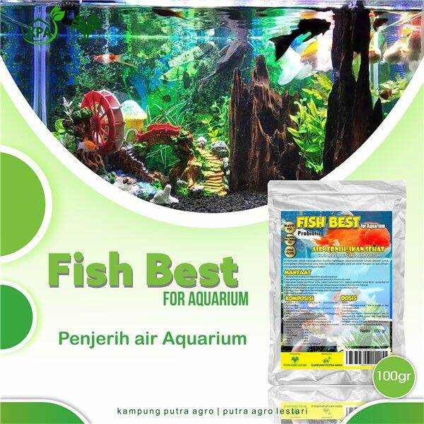 Bakteri Probiotik Ikan - FISH BEST For Aquarium - 100 Gram - Penjernih ...
