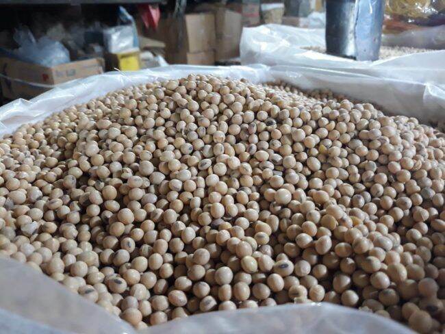 kedelai import 1kg | Lazada Indonesia