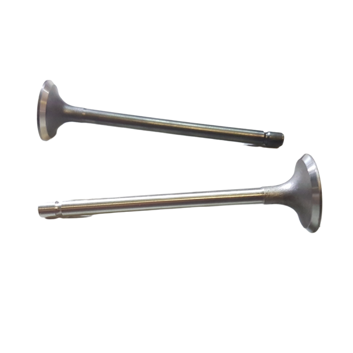 Isuzu 4JG2 Tropper NKR Engine Valves FUJI | Lazada PH