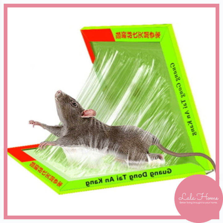 Mouse Trap Super Glue Pad Rat Bugs Catcher Foldable Board Pest Control ...