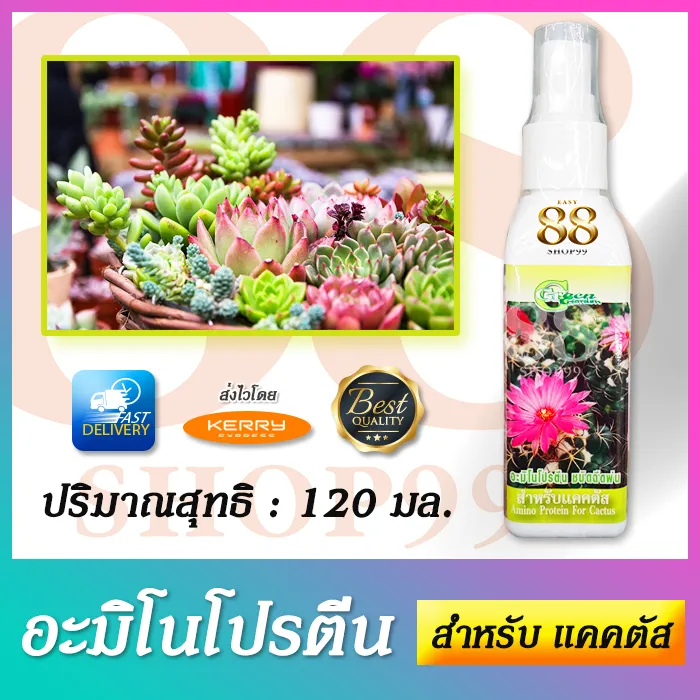 โปรตีน ชนิดพ่น สำหรับกระบองเพชร อะมิโนโปรตีน สำหรับแคคตัส 120 ml. Green ...