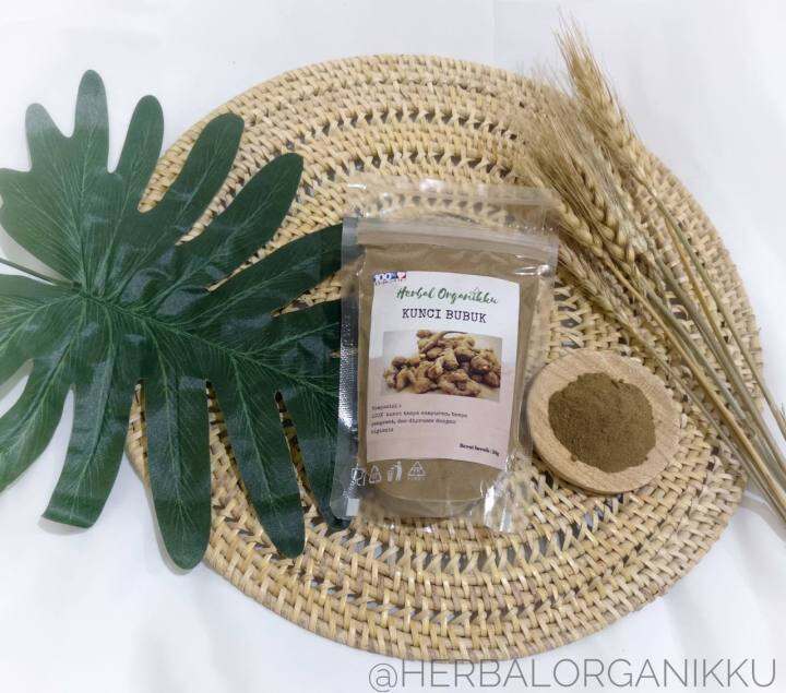 Kunci Bubuk Murni / Temu Kunci bubuk / Fingerroot Powder 50 gram MURNI ...
