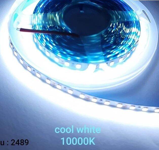 Led Strip 2835 IP20 600 Led 10000 kelvin Cold white Cool White | Lazada ...