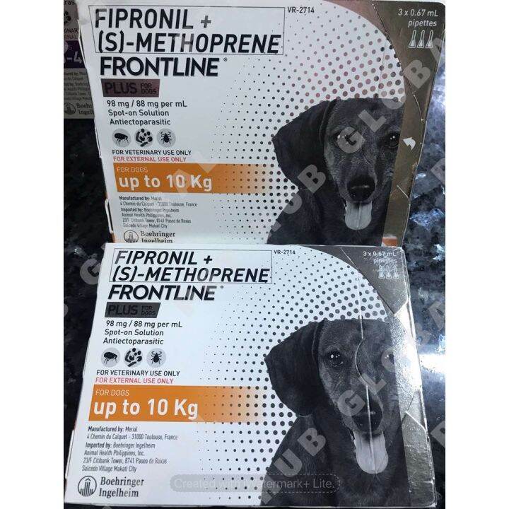 FRONTLINE PLUS FOR DOGS UP TO 10 kgs body weight - 1 PC.ONLY | Lazada PH