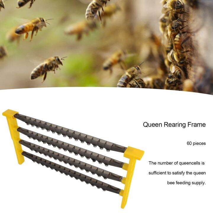 Queen Rearing Base Portable Queen Cell Kit Beekeeping Tool for Bees ...