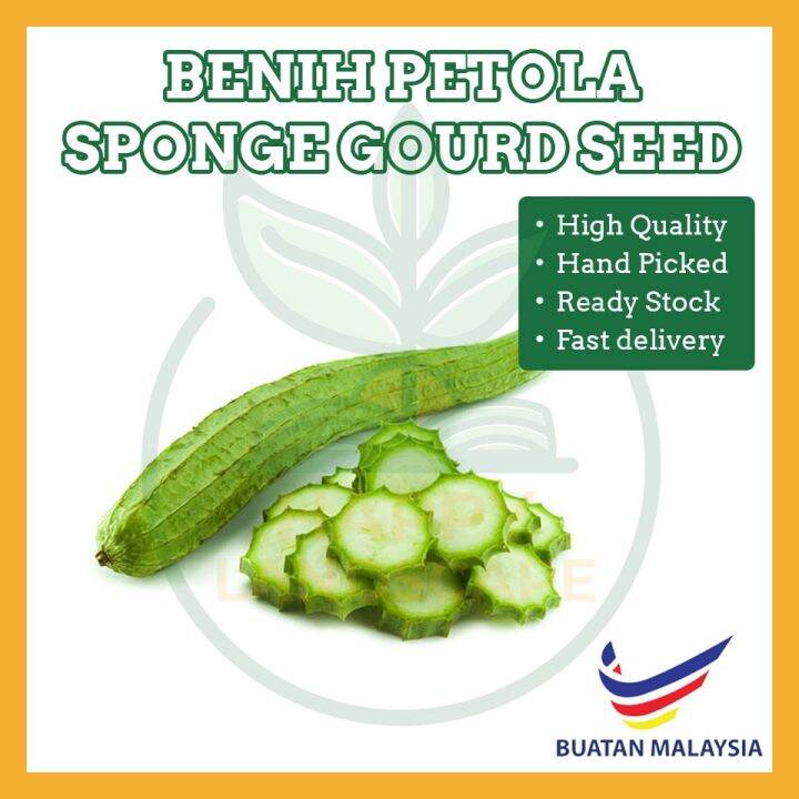 Benih Sayur Petola Loofah Sponge Gourd Seed Sayuran Vege Vegetable Seed ...