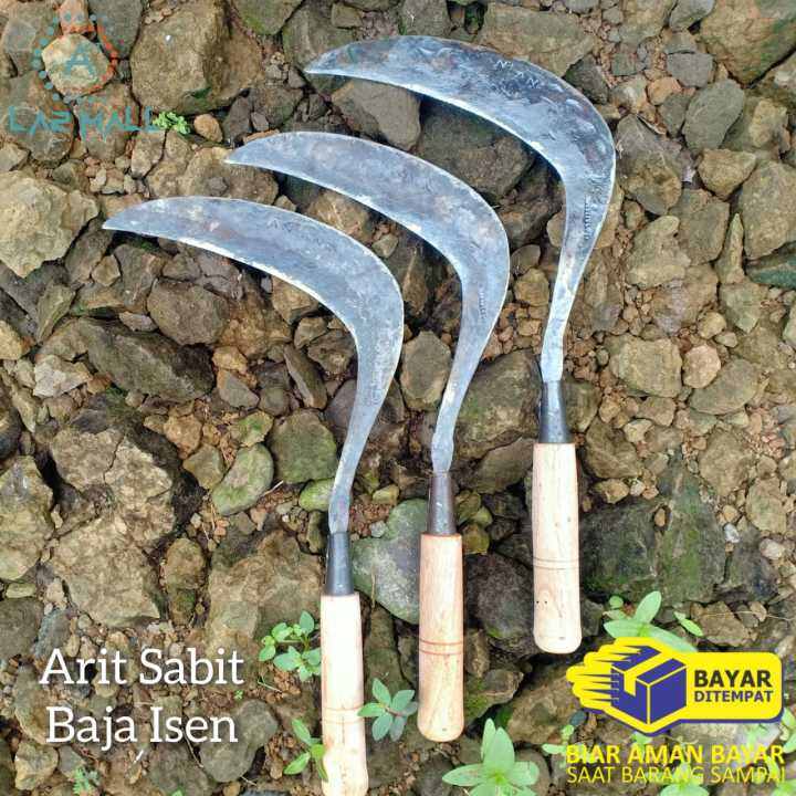 Arit Model Ani Pemotong Rumput Dan Padi - Sabit Baja Isen Bilah Tajam ...