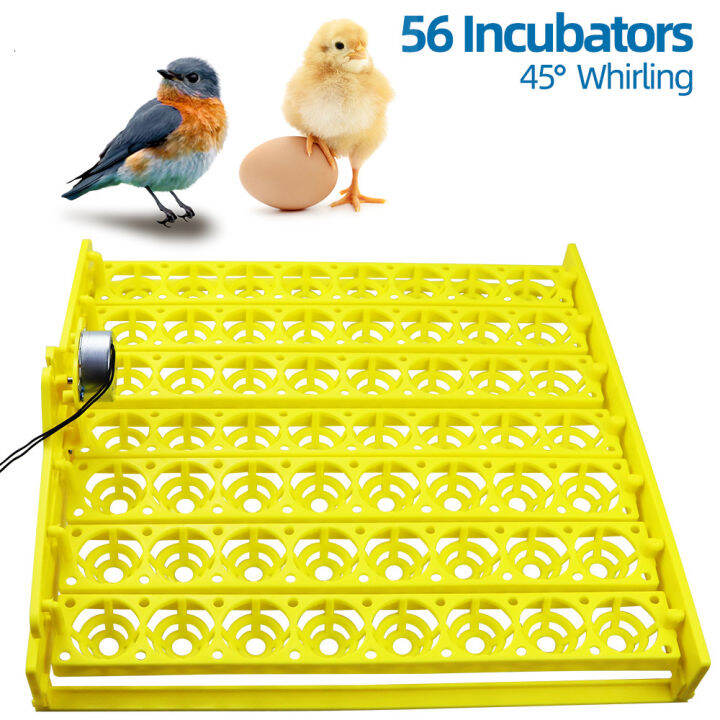Automatic Egg Incubator Capacity 56 Duck Chicken Plastic Egg Tray ...