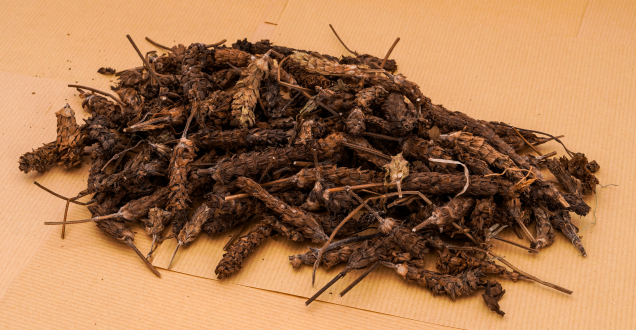 夏枯草 XIA GU CAO HERBAL TEA | Lazada