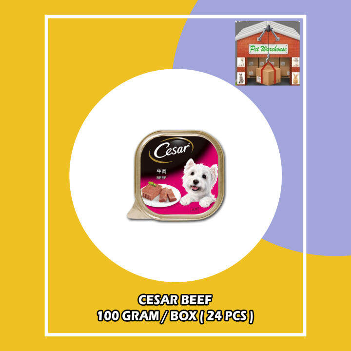 CESAR BEEF 100 GRAM / BOX ( 24 PCS ) "WET FOOD FOR DOG ) | Lazada Indonesia