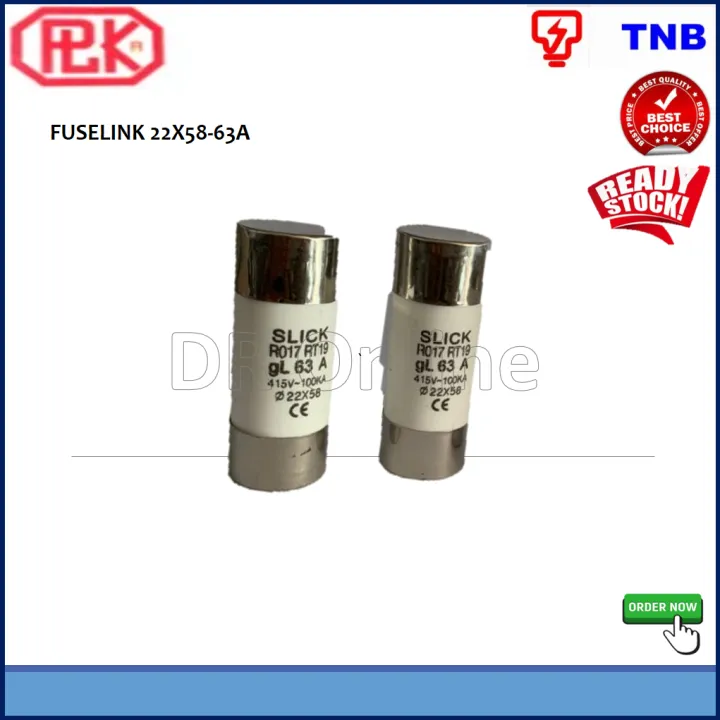 PLK TNB Cut Out Fuse Unit 60A/100A With Fuse 63A / 100A | Lazada