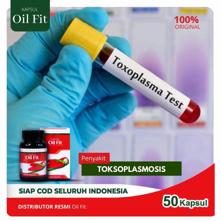 Obat Penyakit Toksoplasmosis, Infeksi Toksoplasma - OilFit 50 Kapsul ...