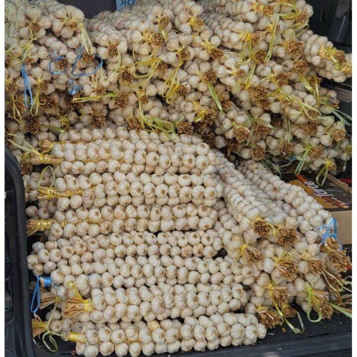enq69210 Half kg Native Ilocos Bawang / Garlic (Braided) | Lazada PH
