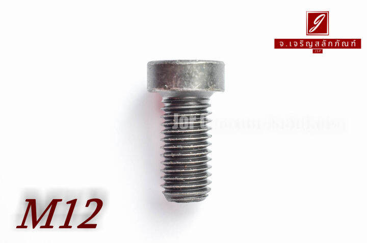 น็อตหัวจมหัวเตี้ยพิเศษ M12x25 / 5 ตัว | Lazada.co.th